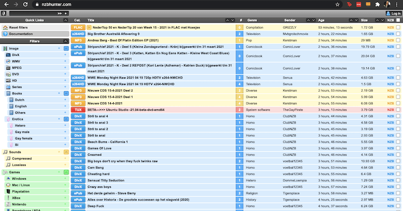 Beoordeling van NZBHunter: voor- en nadelen van NZBHunter